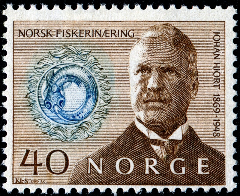 Challenging the scientific legacy of Johan Hjort: Is it time for a new ...