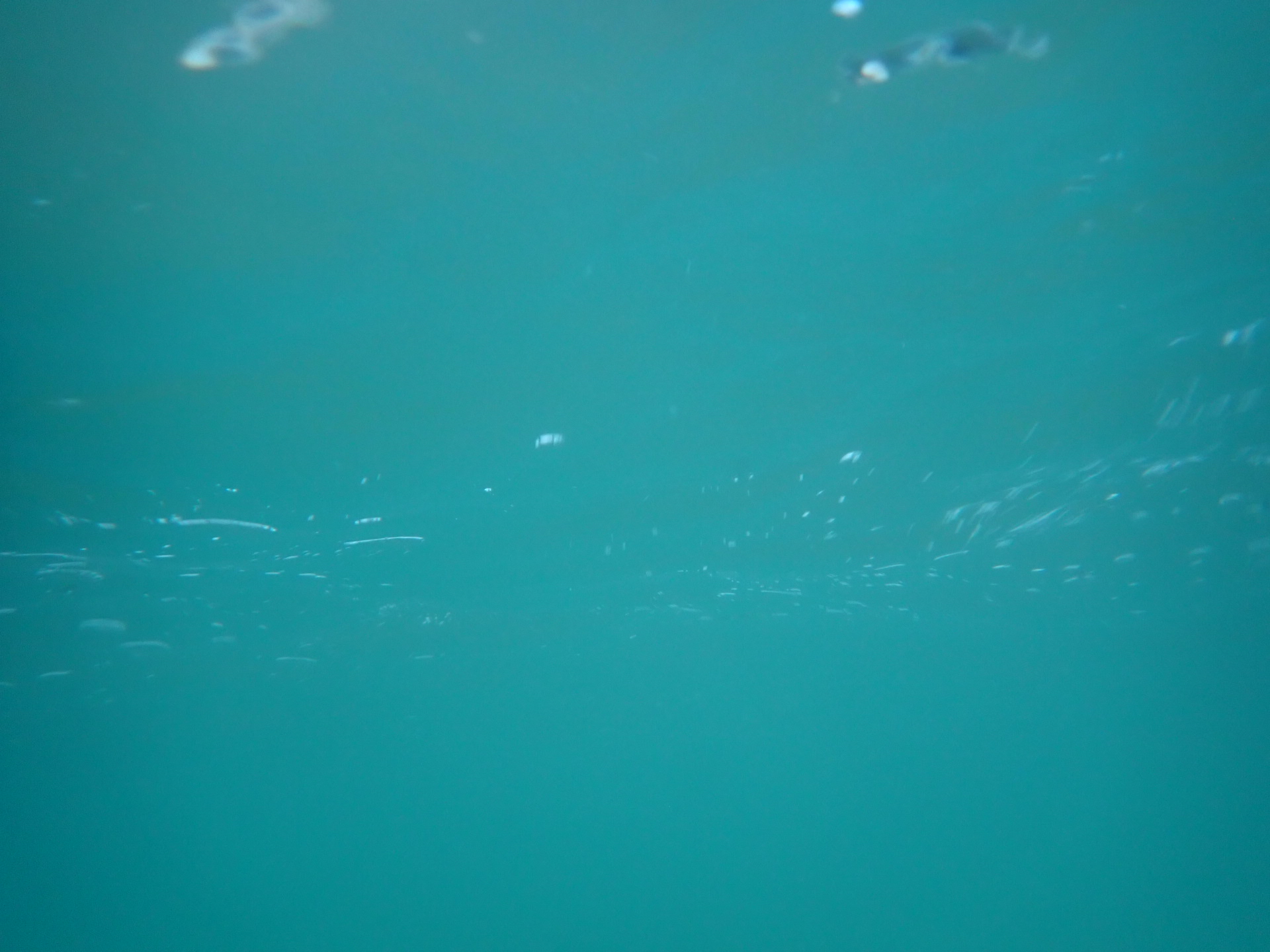 Ocean Energies in Japan – History of Oceanography